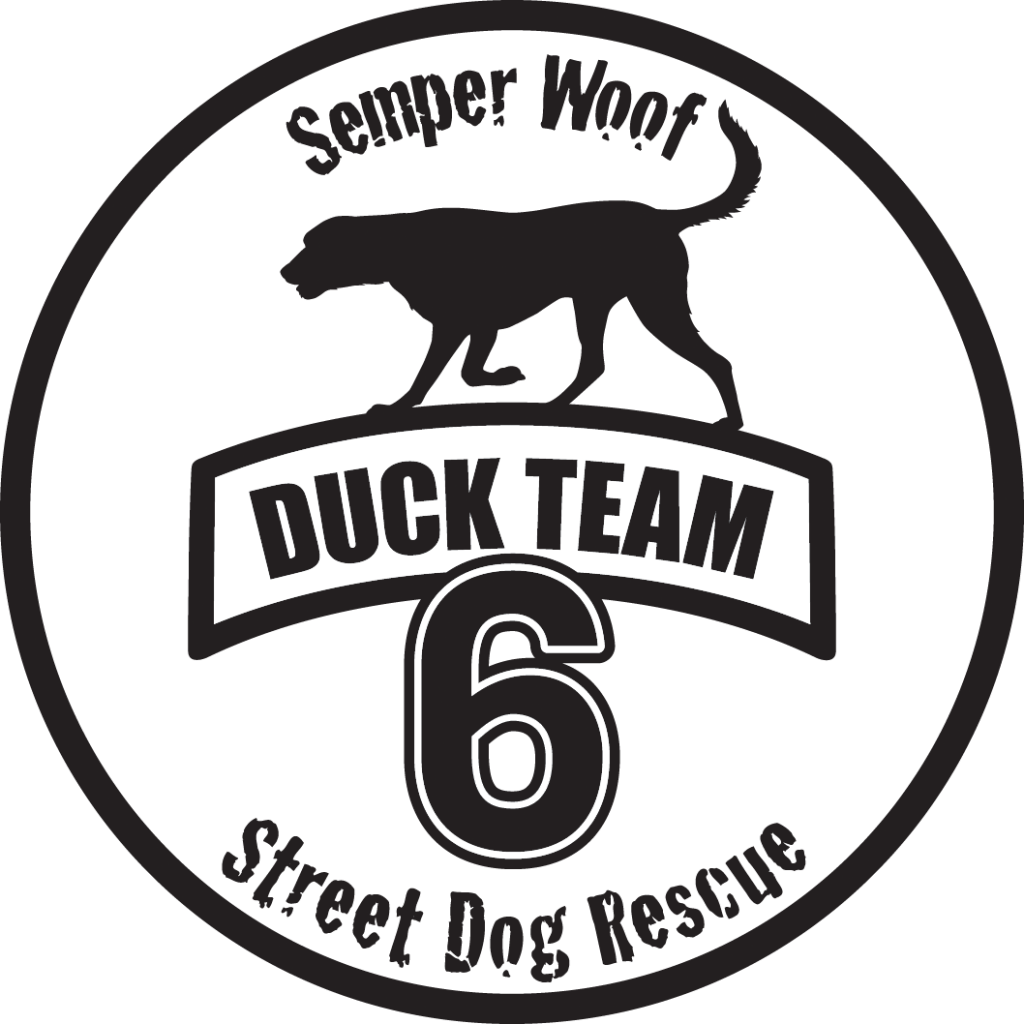 Open Position: Outreach Coordinator | Duck Team 6 Street Dog Rescue